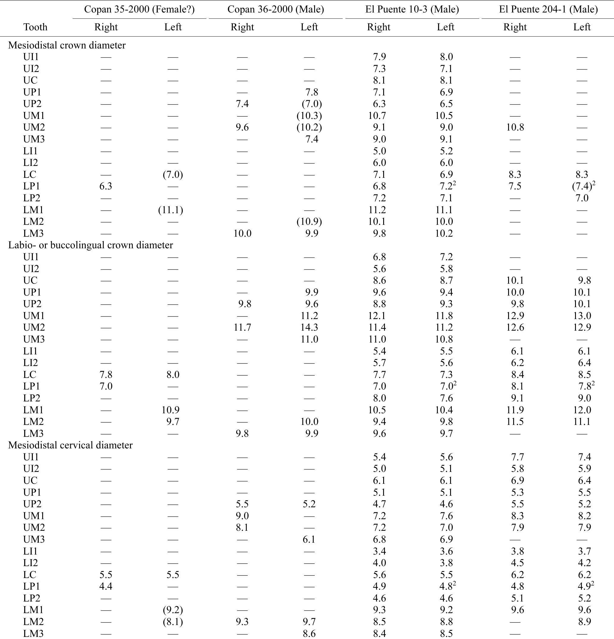 Appendix 4. measurements of the permanent teeth of four