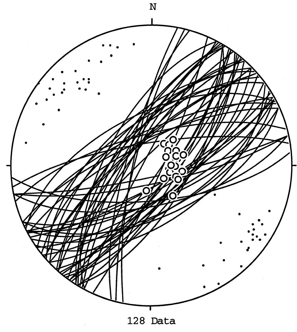 Orientation data (lower hemisphere, equal area projection)
