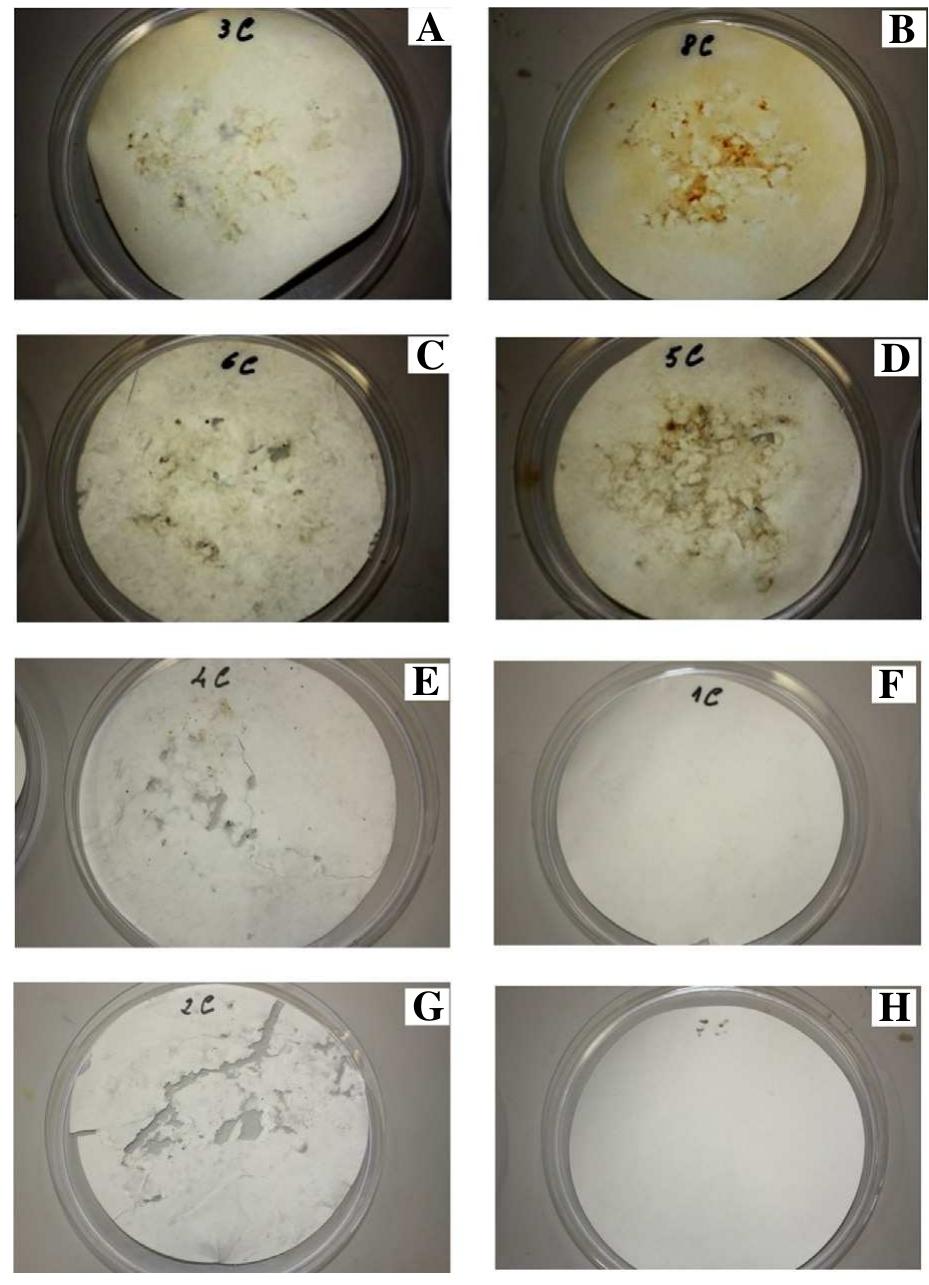 Results of the midgley test at 8 days using h20> solution: