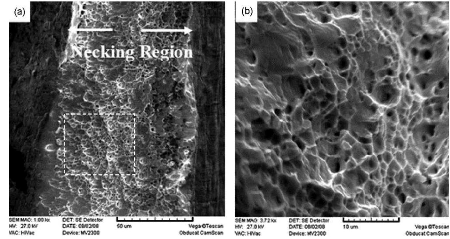 The scanning electron micrograph of the fracture surface.