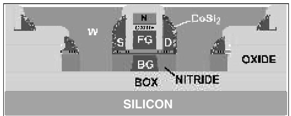 7. the pagoda planar dgfet structure showing silicided