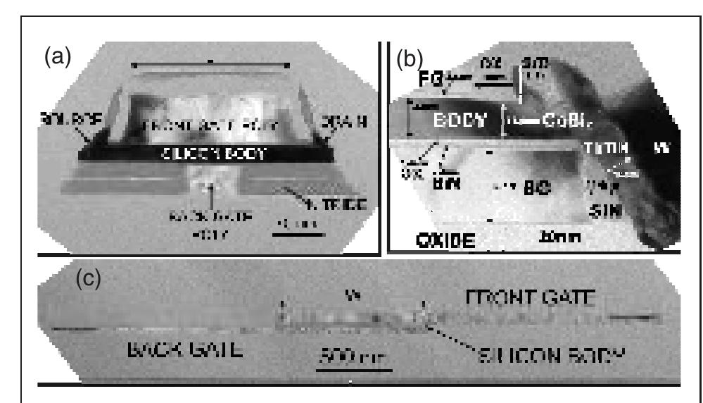 17. tem images of pagoda dgfet. (a) main cross section