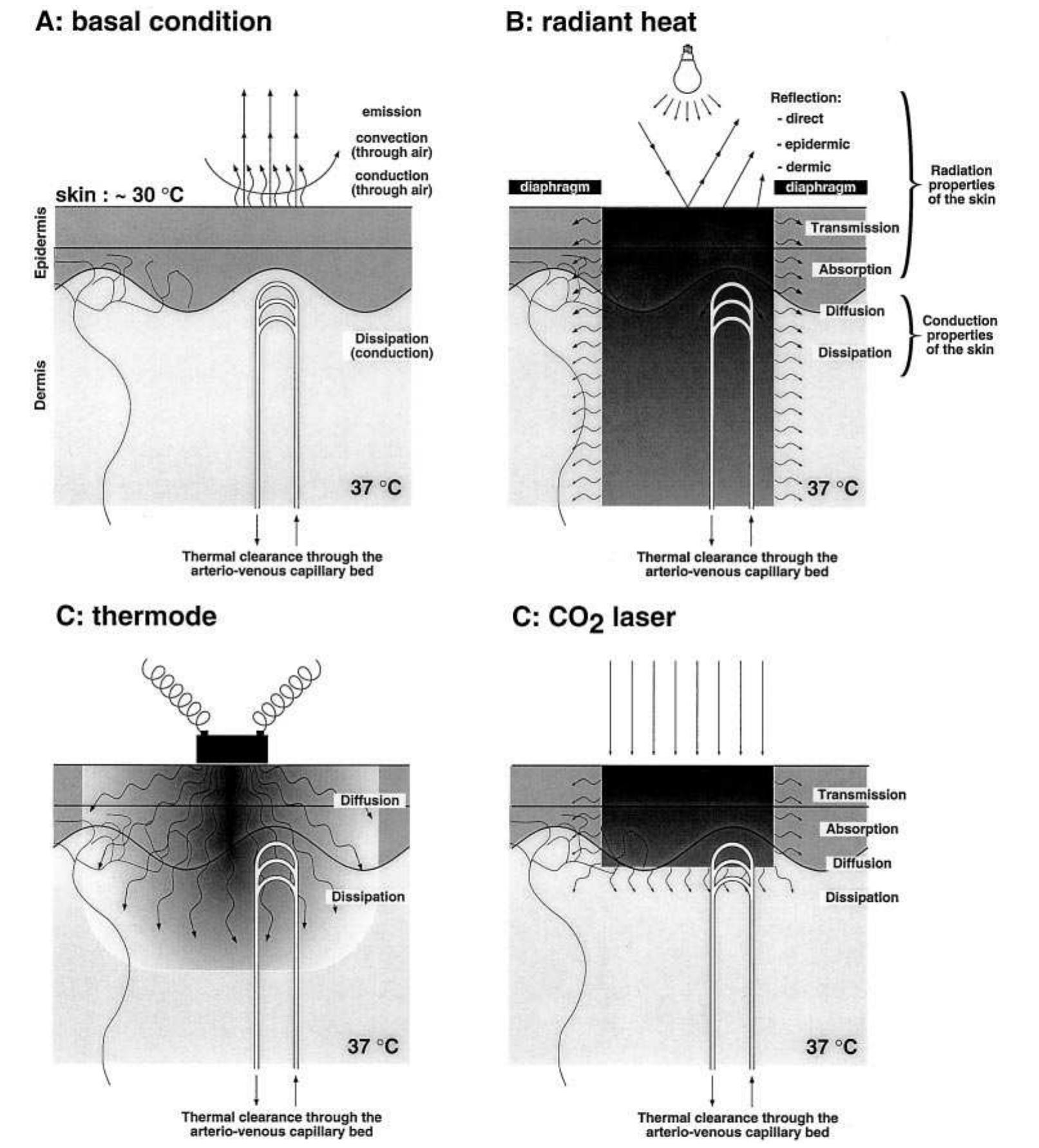 Fic. 6. schematic representation of heat transfer through