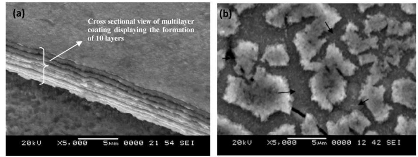 Sem image of cmma (ni-w), 0/40/10 coating: a)