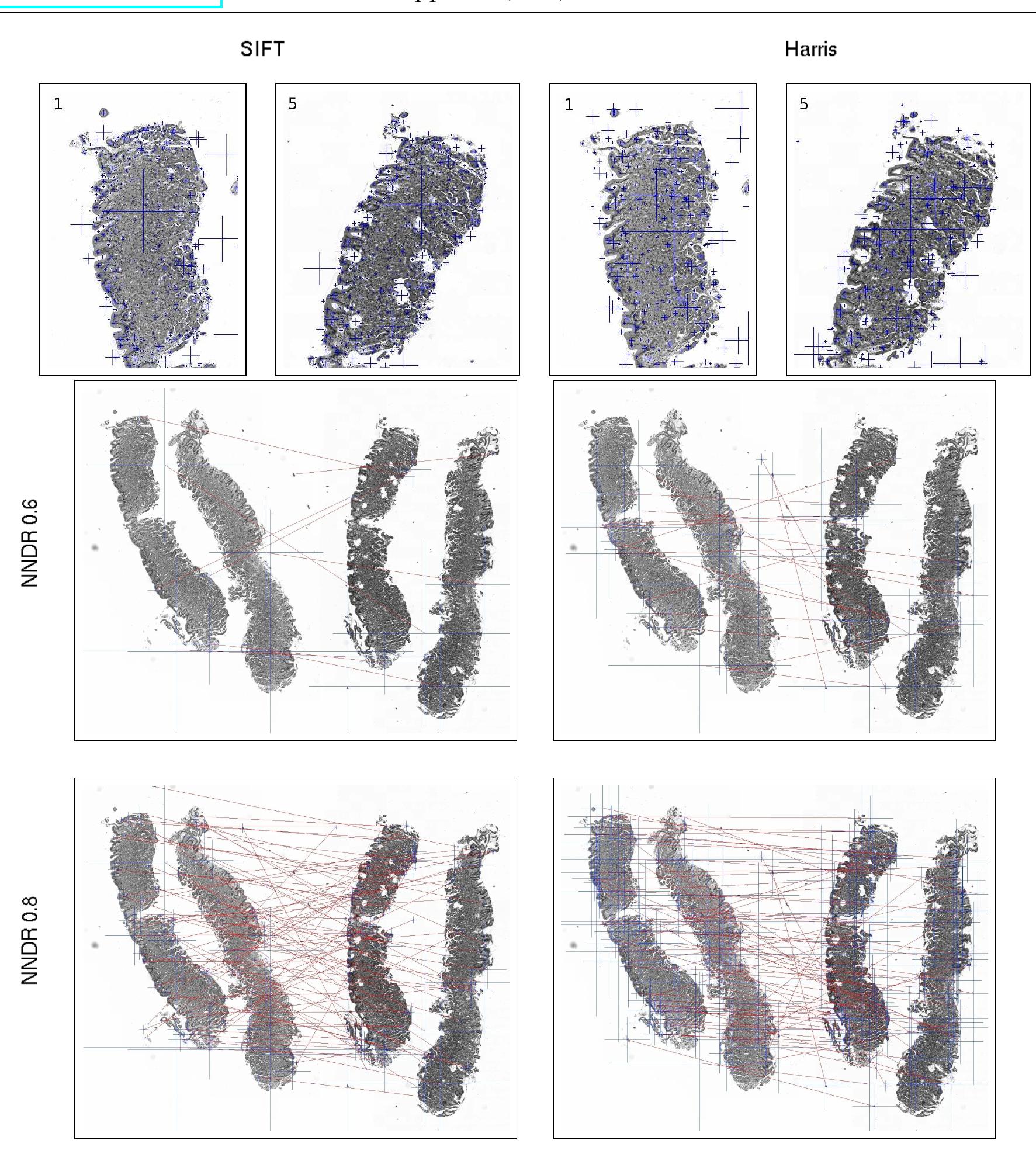 Leskovsky et al.: registration of histological slices annals