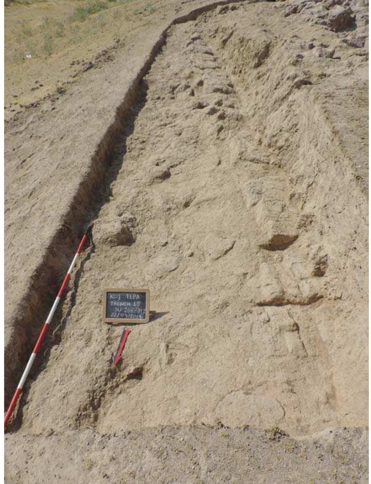 - mud wall along the western border of trench no18,