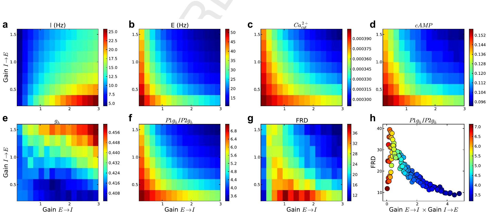 Changing the static synaptic weights neurons, and from i— e
