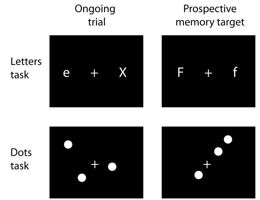 Schematic illustration of the two behavioral tasks. in the