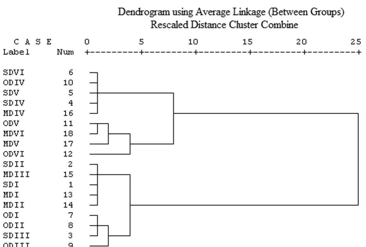 Dendogram plot visualizing the clustering of tarhana samples