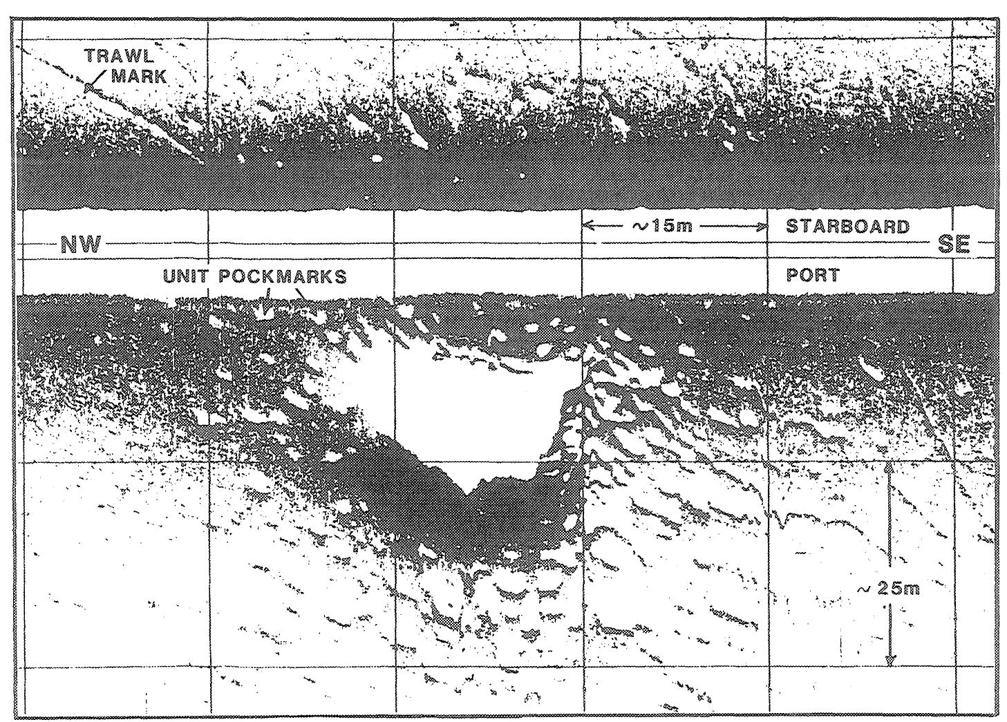 6 a side-scan sonar image of a standard pockmark and