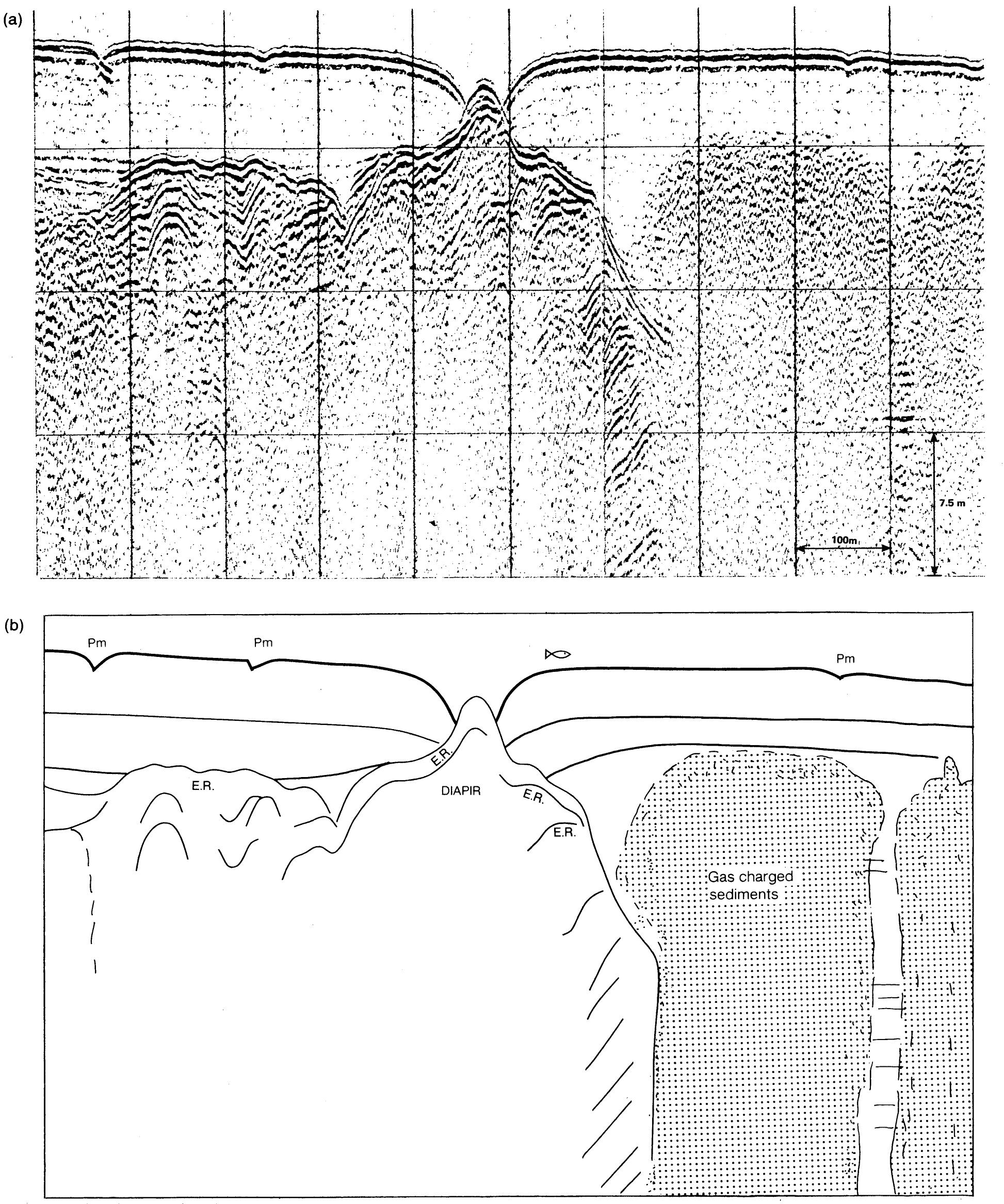 34 (a) a shallow seismic record over an outcrop mound and