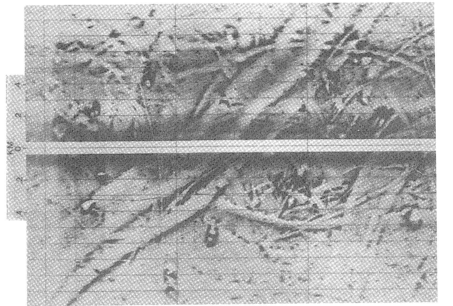Figure 121 - from Seabed pockmarks and seepages — impact on