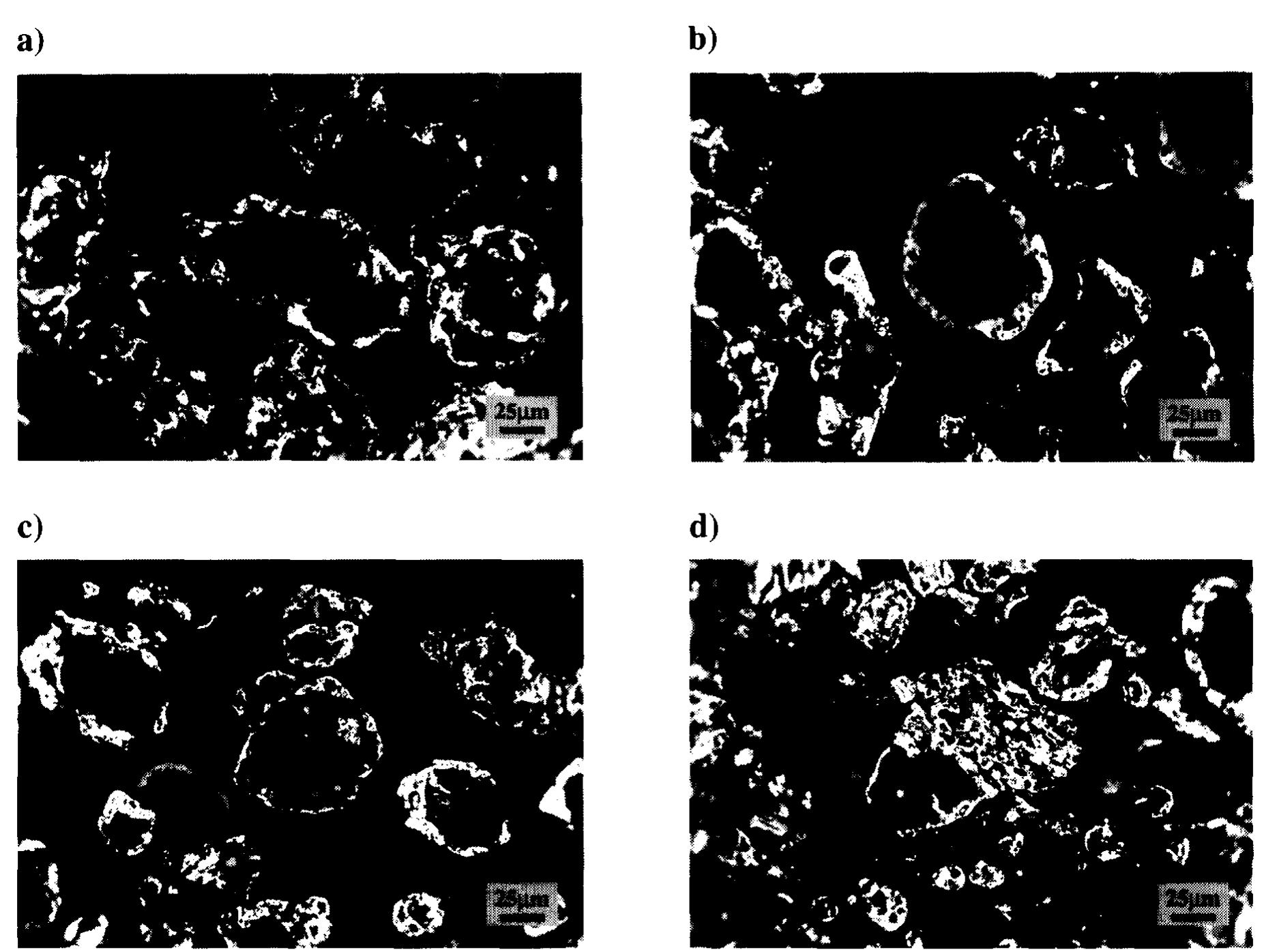 Figure 6 - Combustion char morphology related to combustion