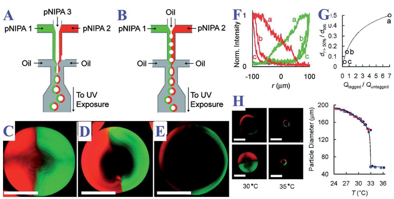 (a) schematic of a microfluidic device forming aqueous