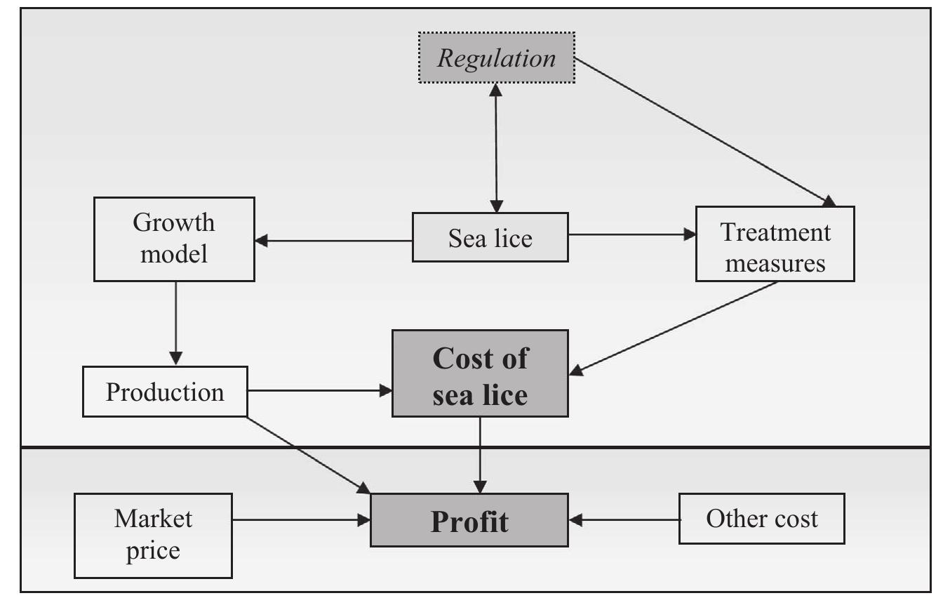 Schematic diagram of the cost analysis framework. the solid