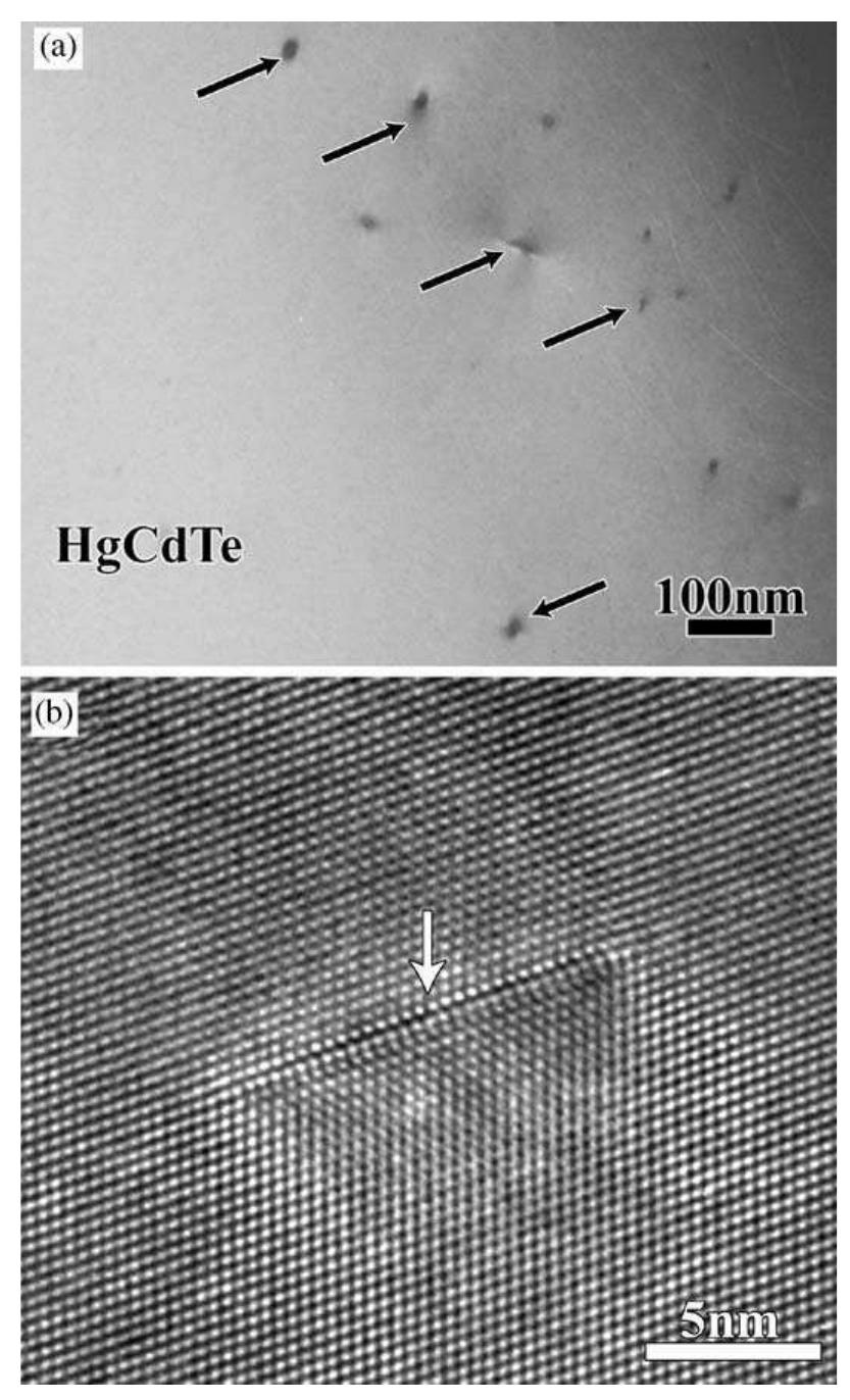 Figure 8 - from Defect characterization for epitaxial HgCdTe