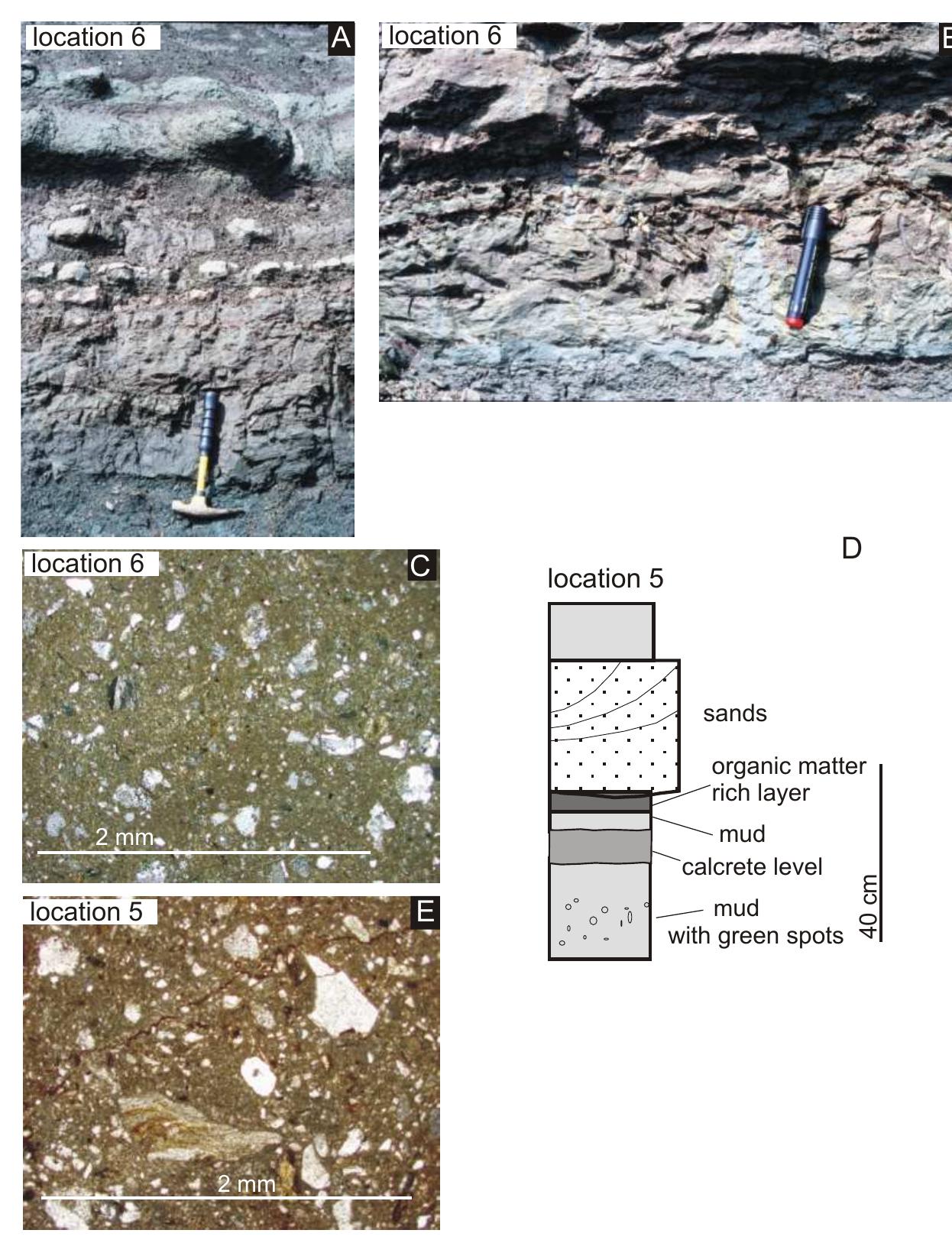 A — palaeosol profile; b — swelling structure; c — thin