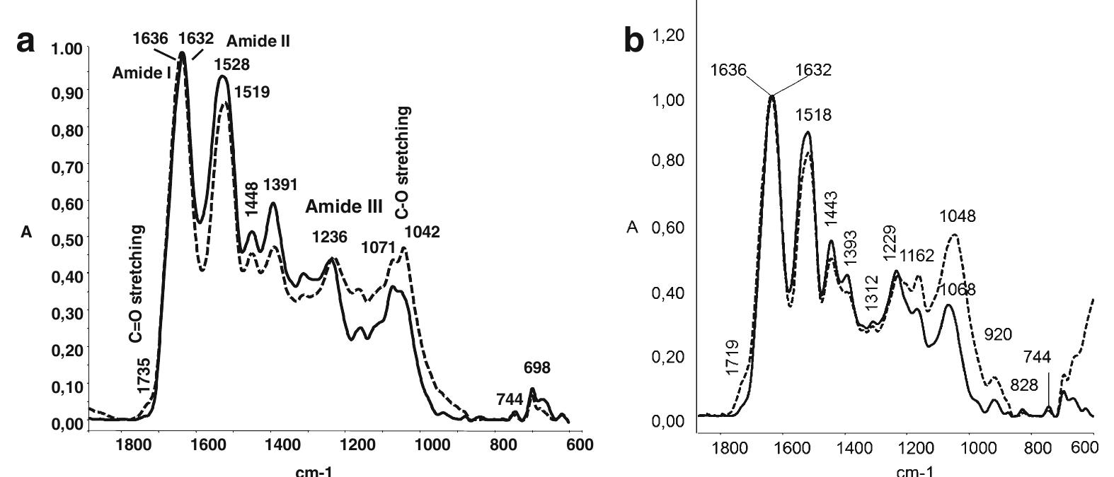 Normalized ftir spectra of aged (dotted line) and unaged