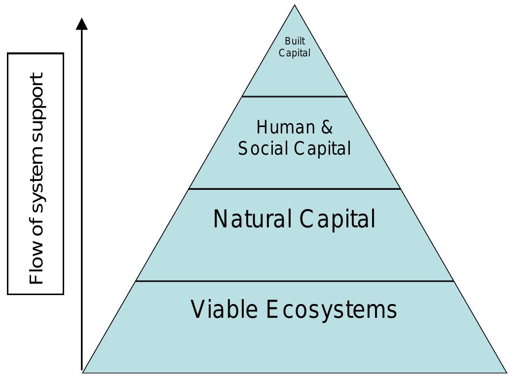 The connective role of green infrastructure focuses on