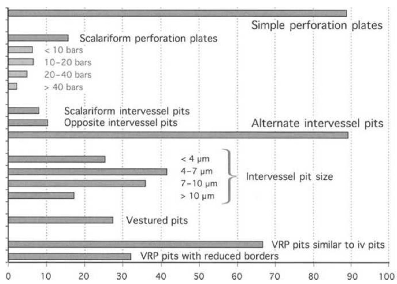 Incidences of perforation plate types and pitting features