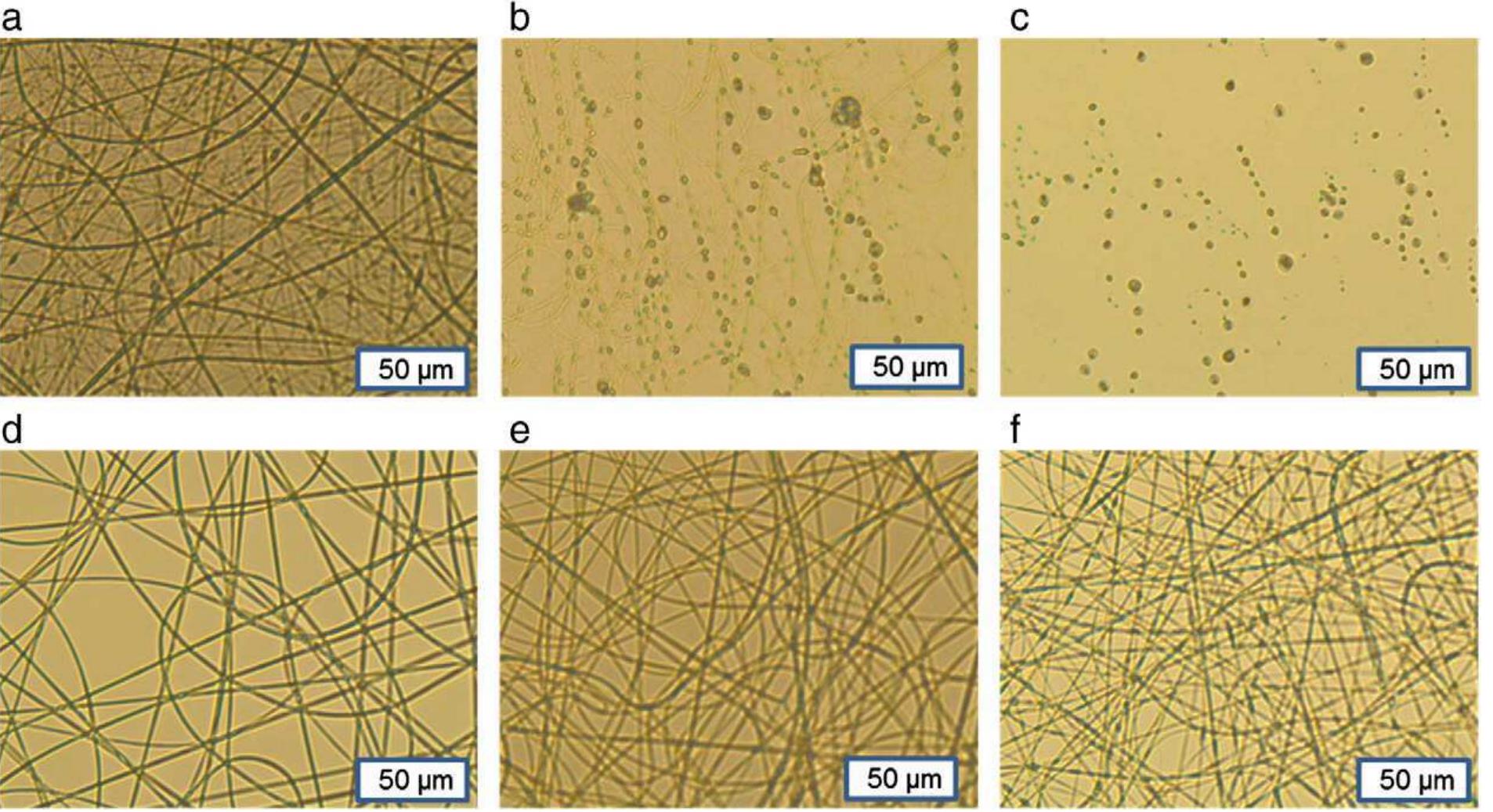 Micrographs from microscopes showing spinning with 15 wt.%