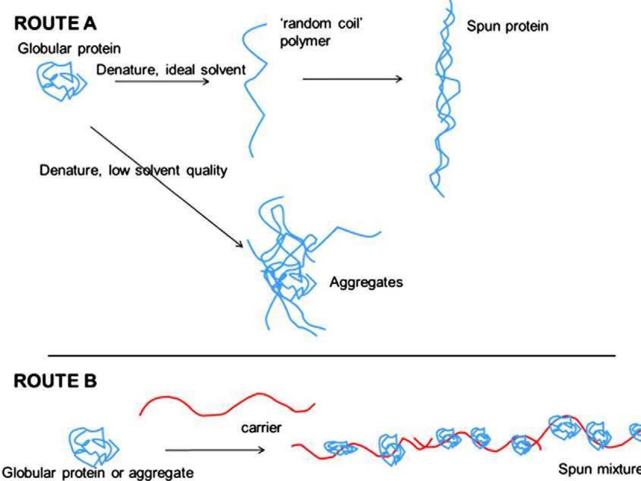 Proposed mechanism of electrospinning. route a depicts the