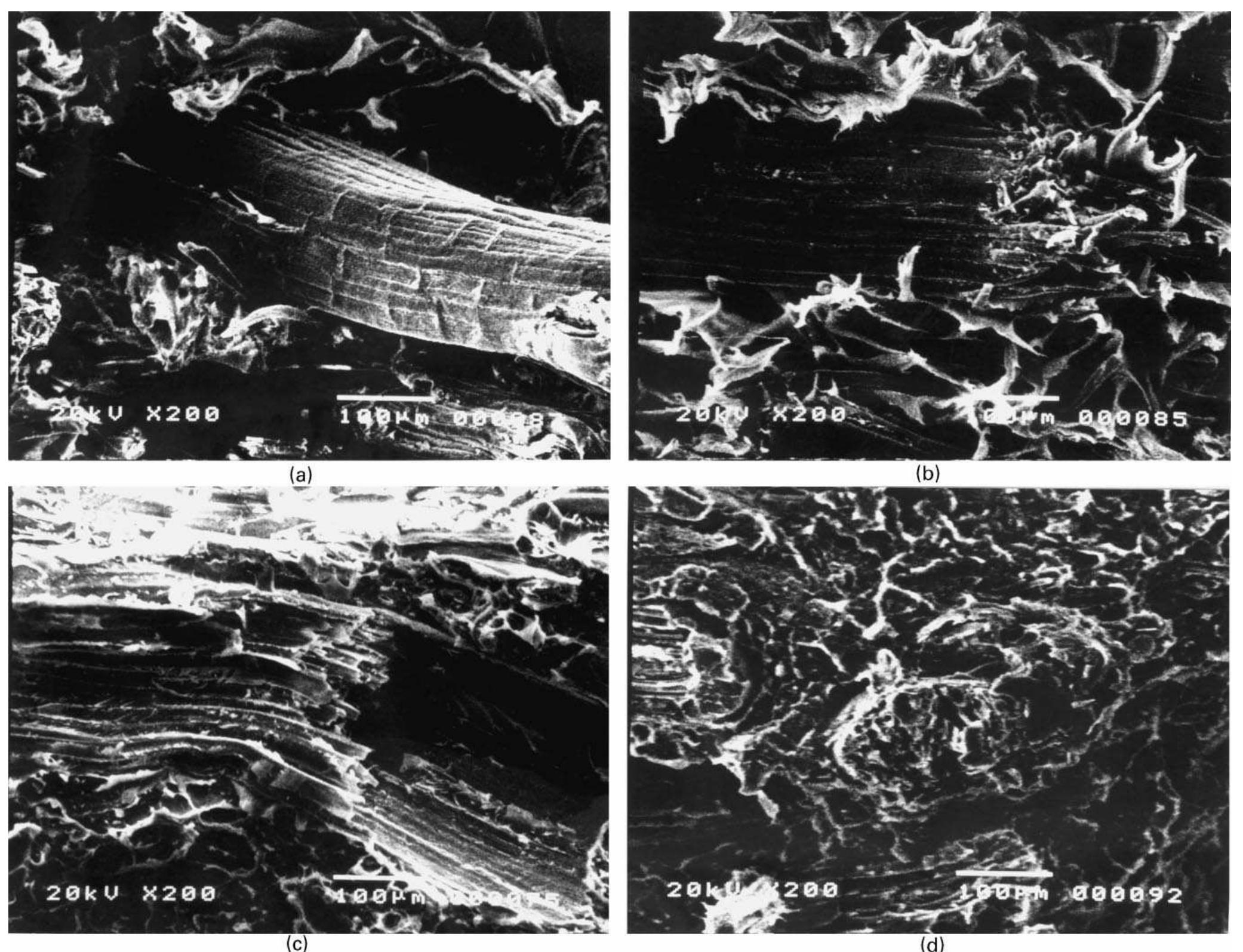Sem photomicrographs showing the tensile fracture surface of