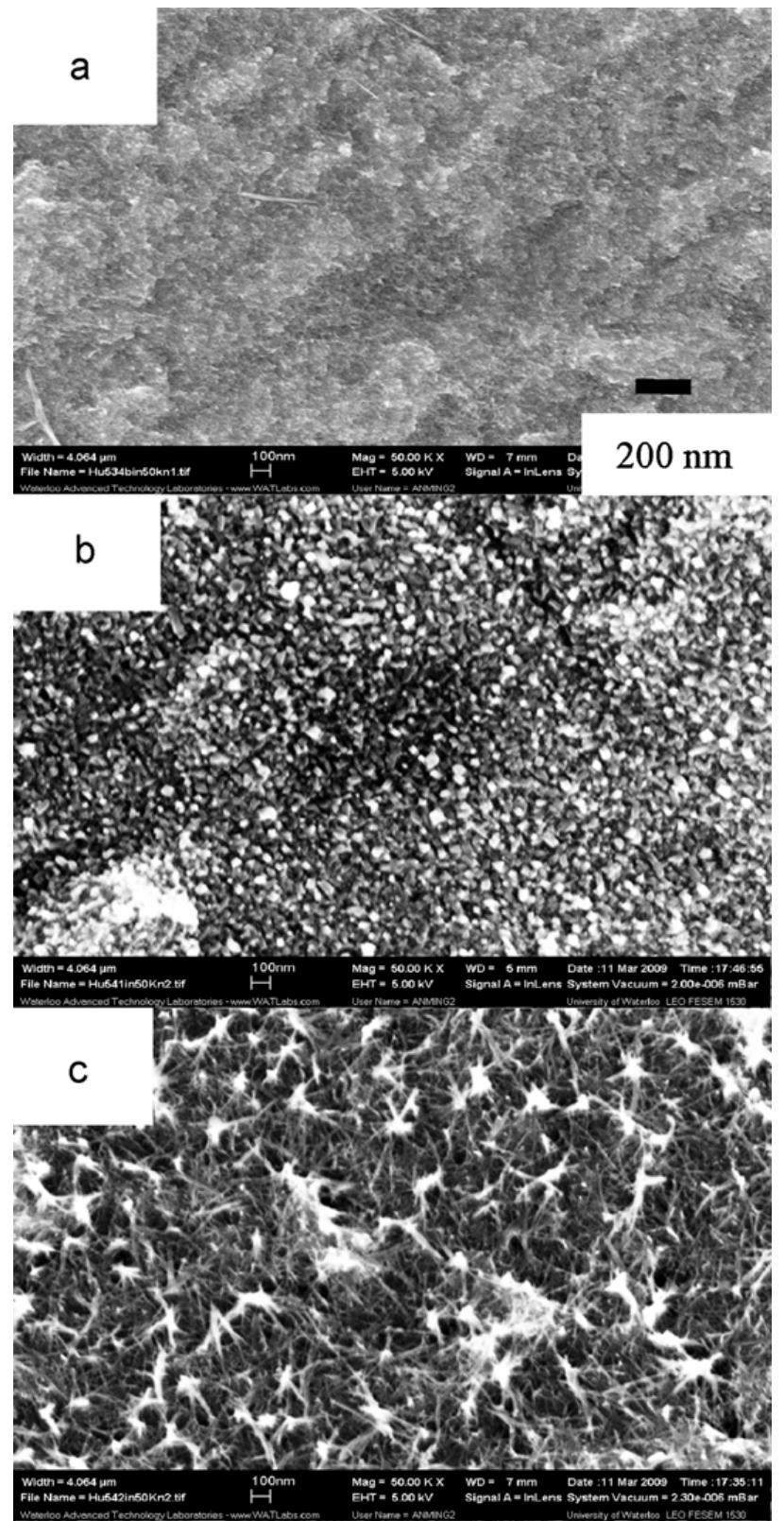 Typical sem images of ti surfaces in (a) 10 m naoh solution