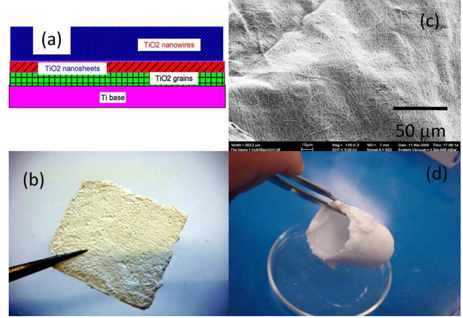 "ig. 5. (a) schematic diagram for tio2 nanowire membranes