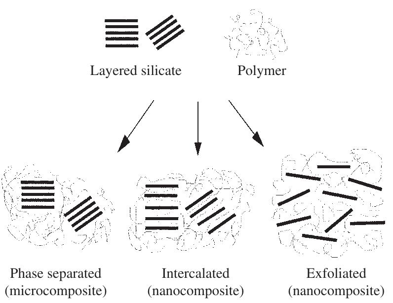 Scheme of three main types of layered silicates in polymer