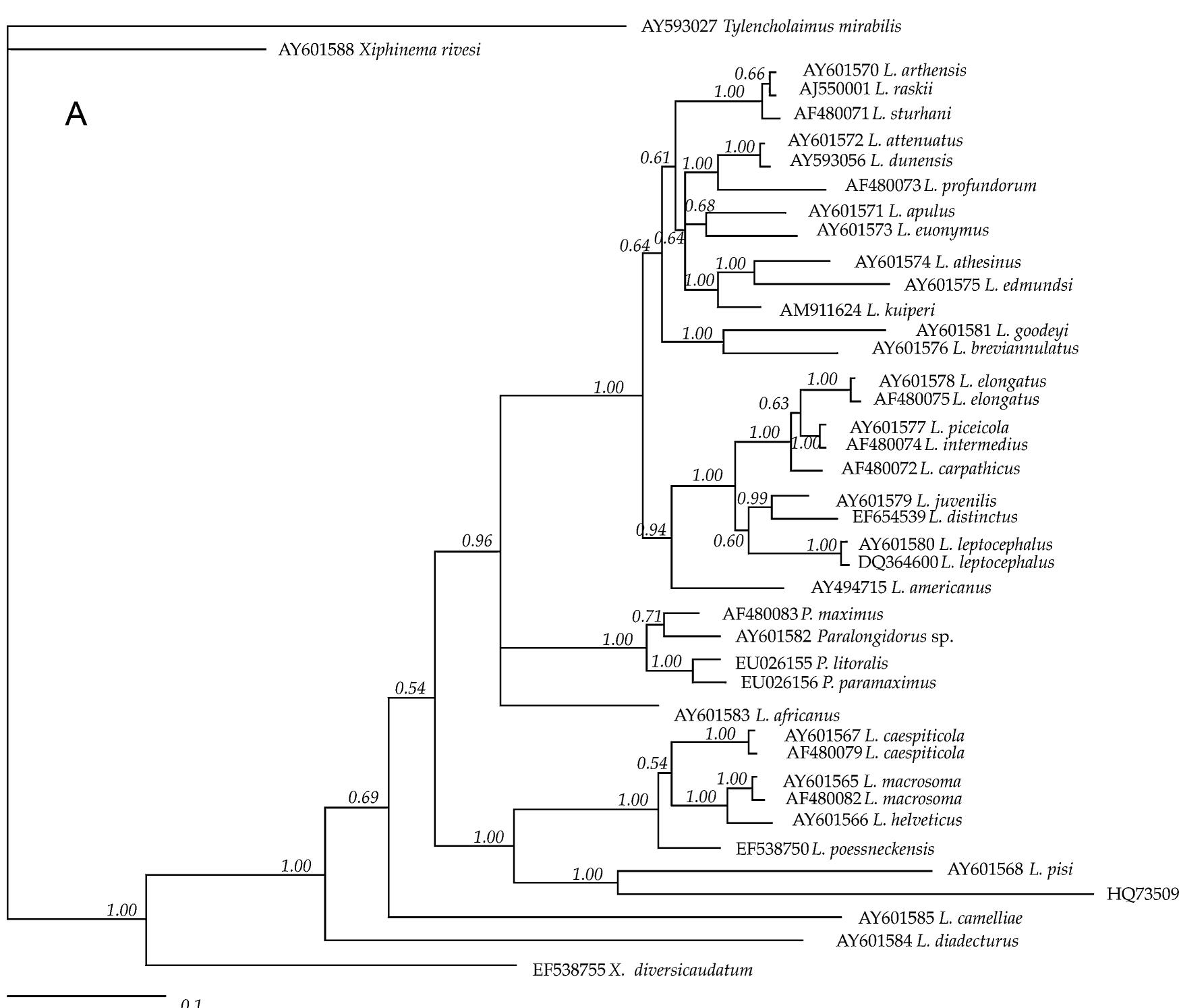 Phylogenetic relationships as inferred from (a) d2-d3 domain