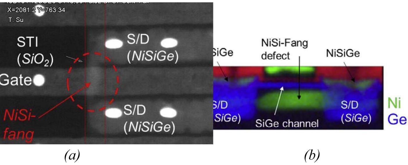 Sem top down (a) and tem cross section with elemental