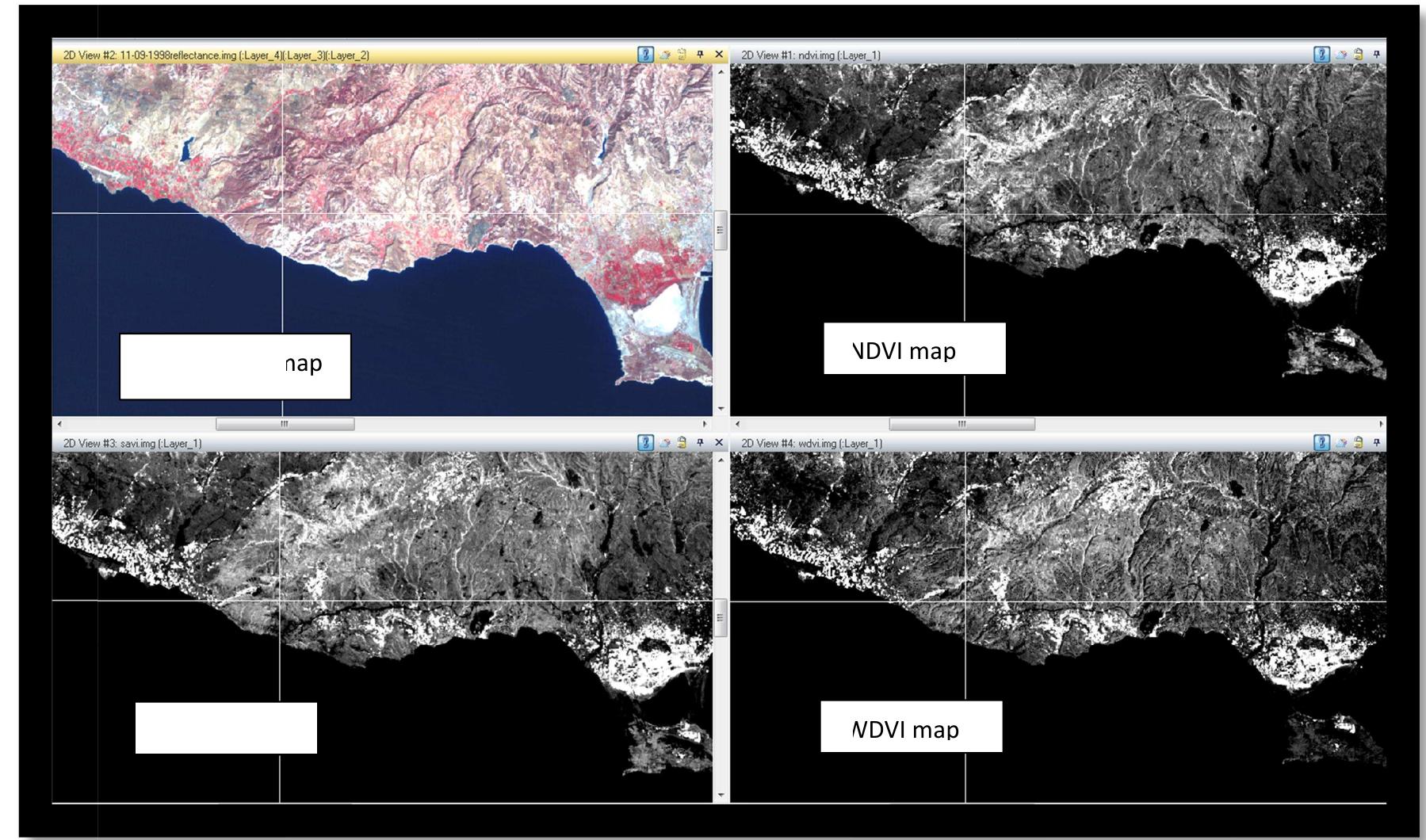 Example of reflectance and vi maps of the aoi