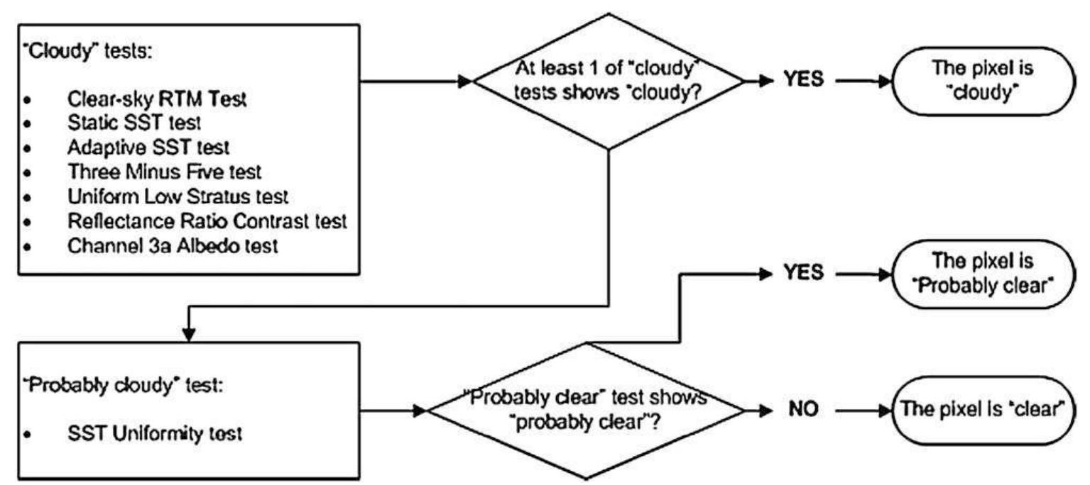 The flowchart of acsm in acspo version 1.10 (15 may 2009).