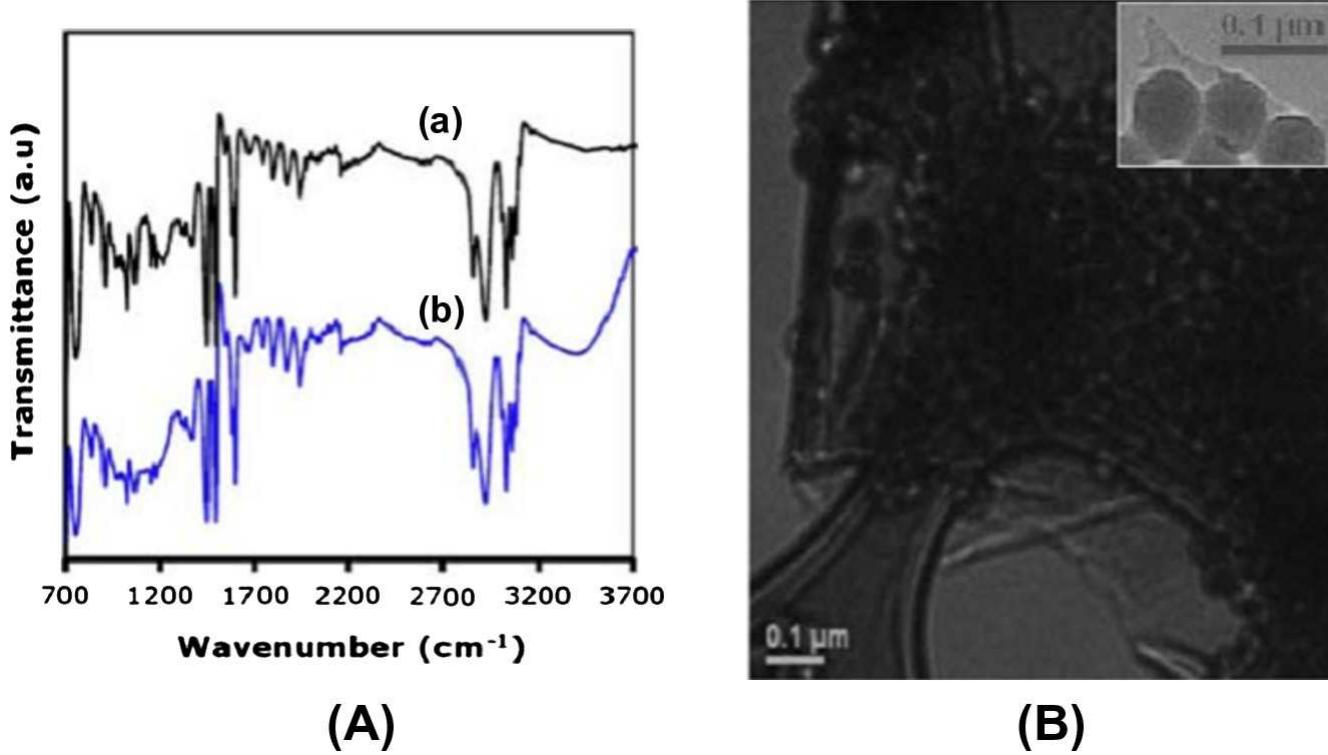 A. ftir spectra of (a) polystyrene and (b) ps/gp composite.