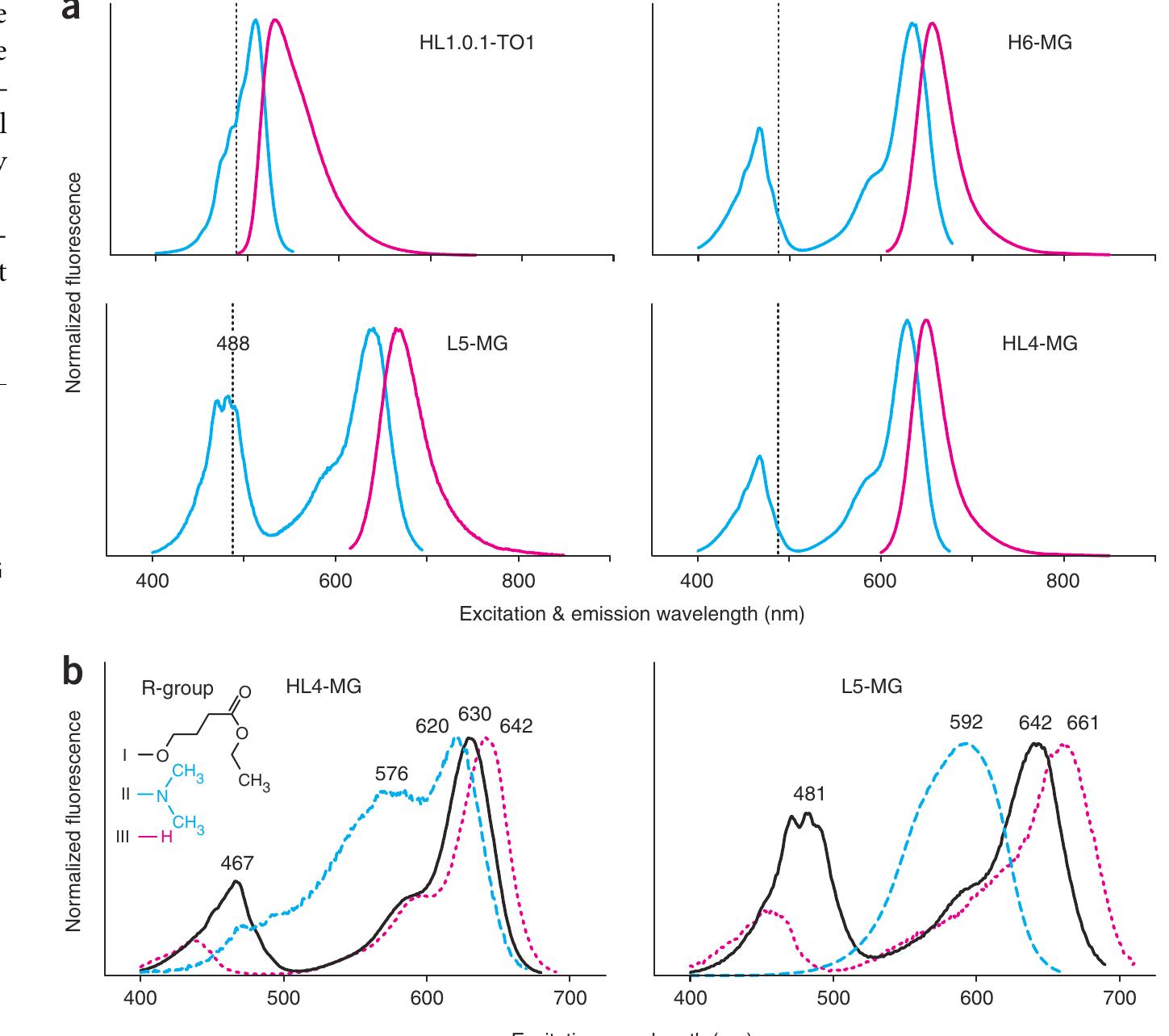 Our yeast faps are fused via aga2 to the agai-aga2 complex,