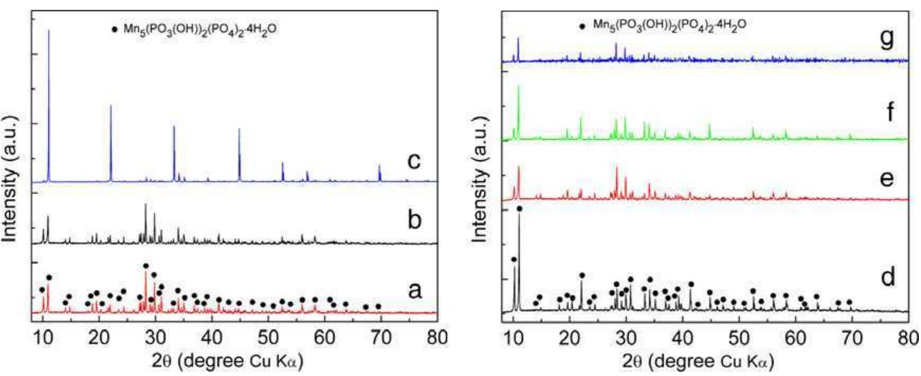 Xrd patterns of typical products: (a) sample 1, (b) sample