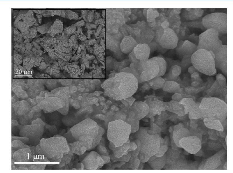 Backscattered electron images of the na,sio; sample