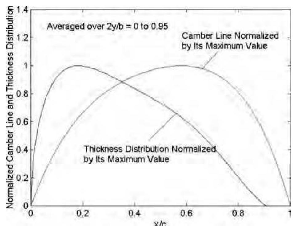 Generated avian wing surfaces. fig. 7 camber line and