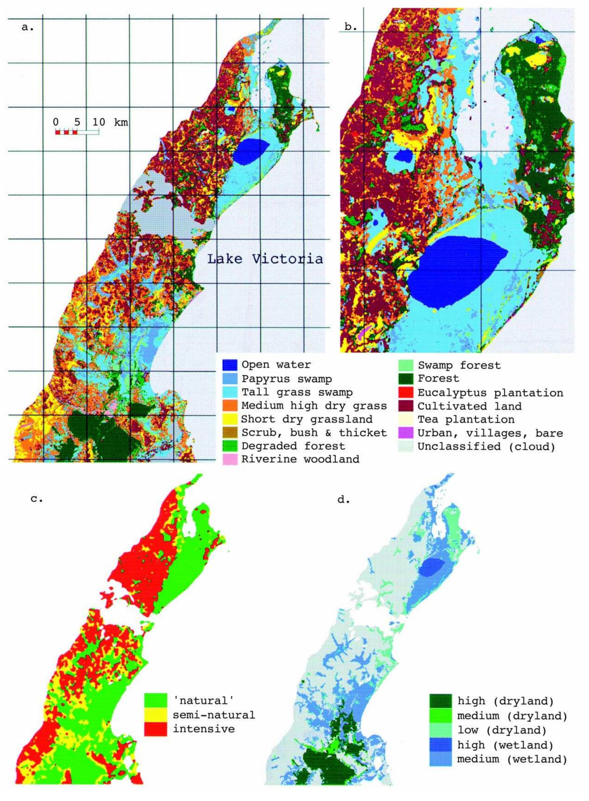 (a) the land-cover map of the sango bay area, produced by