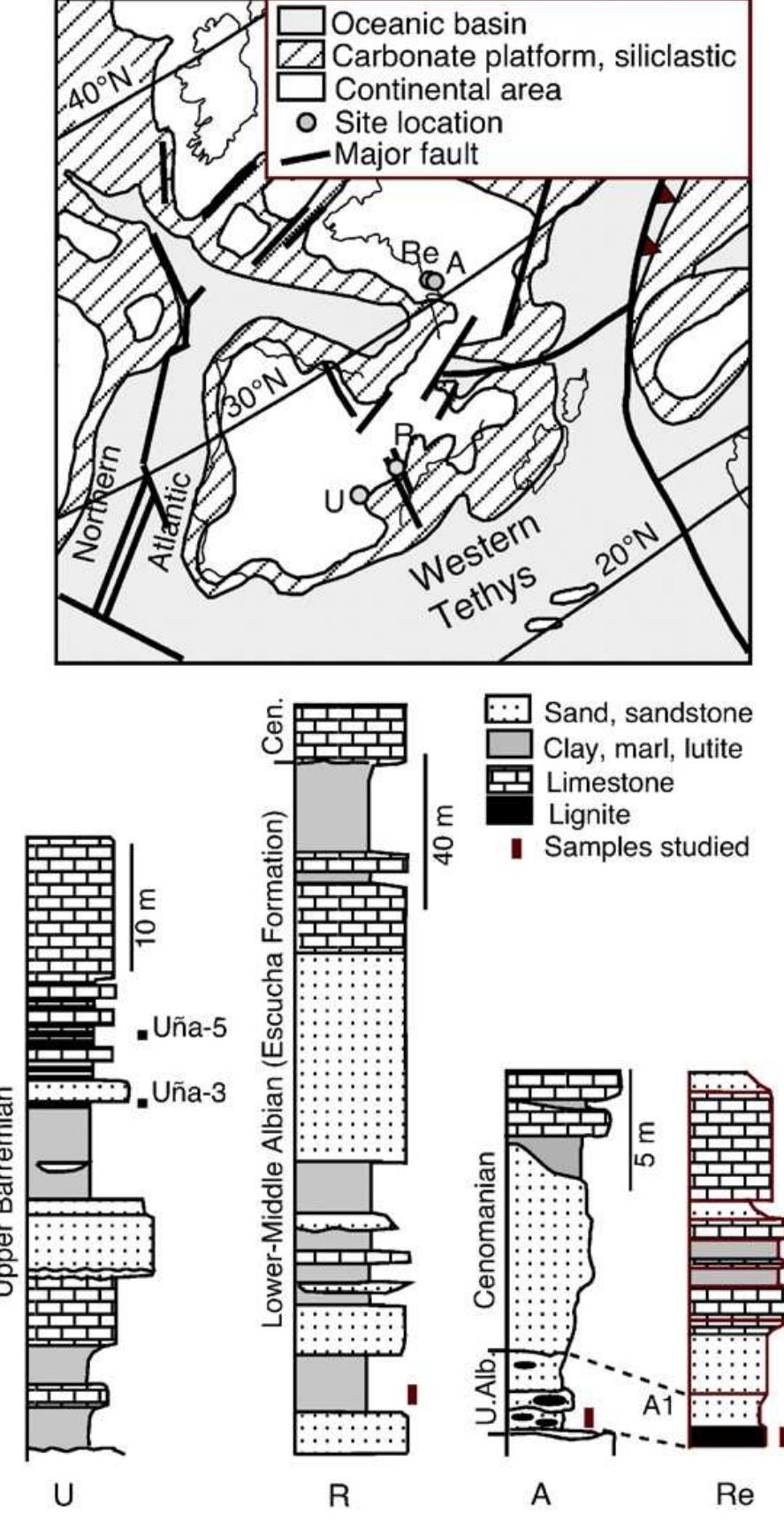 Paleogeographic reconstruction of western peri-tethyan