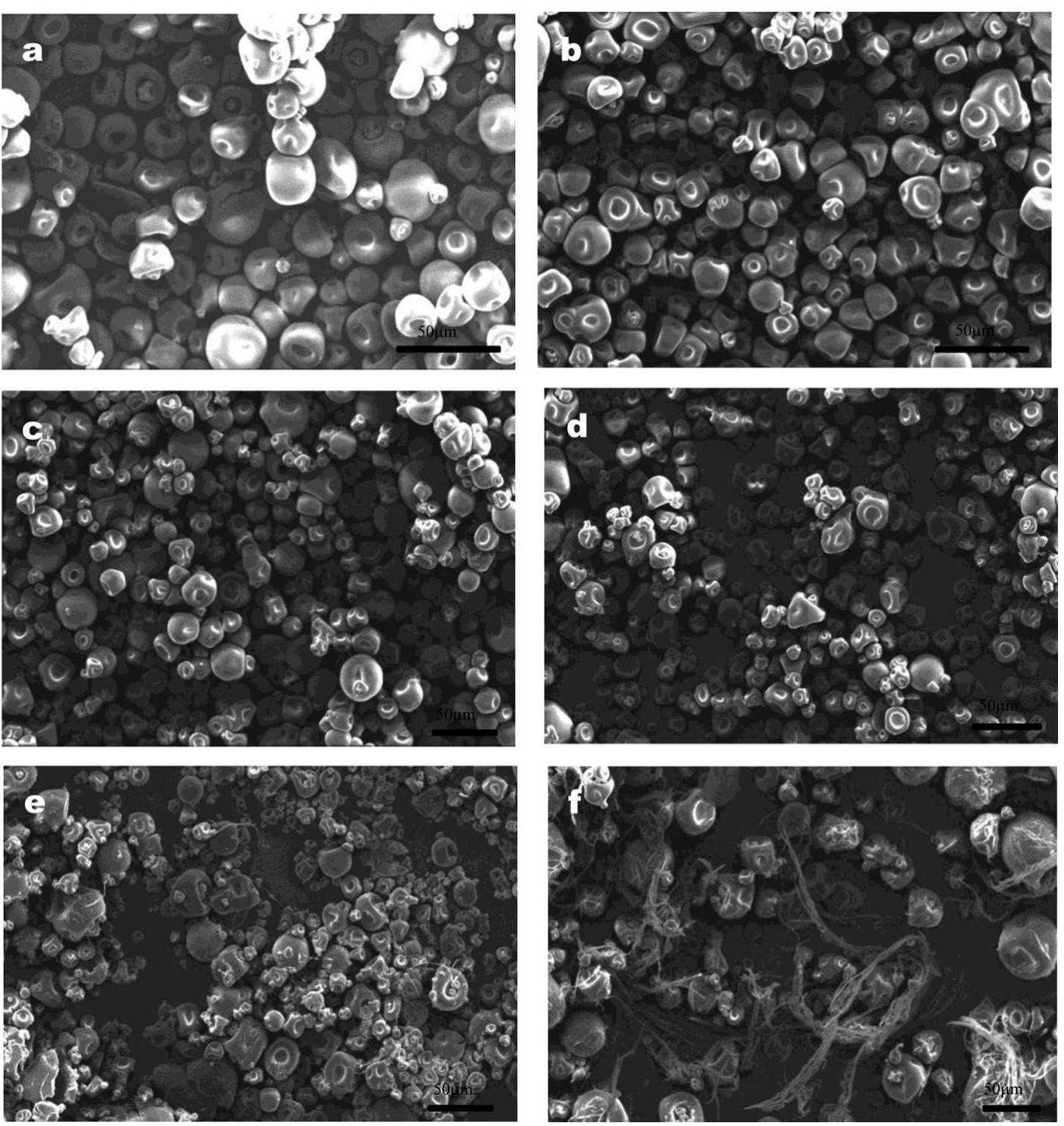 Ig. 2. scanning electron microscope images of powders: (a)