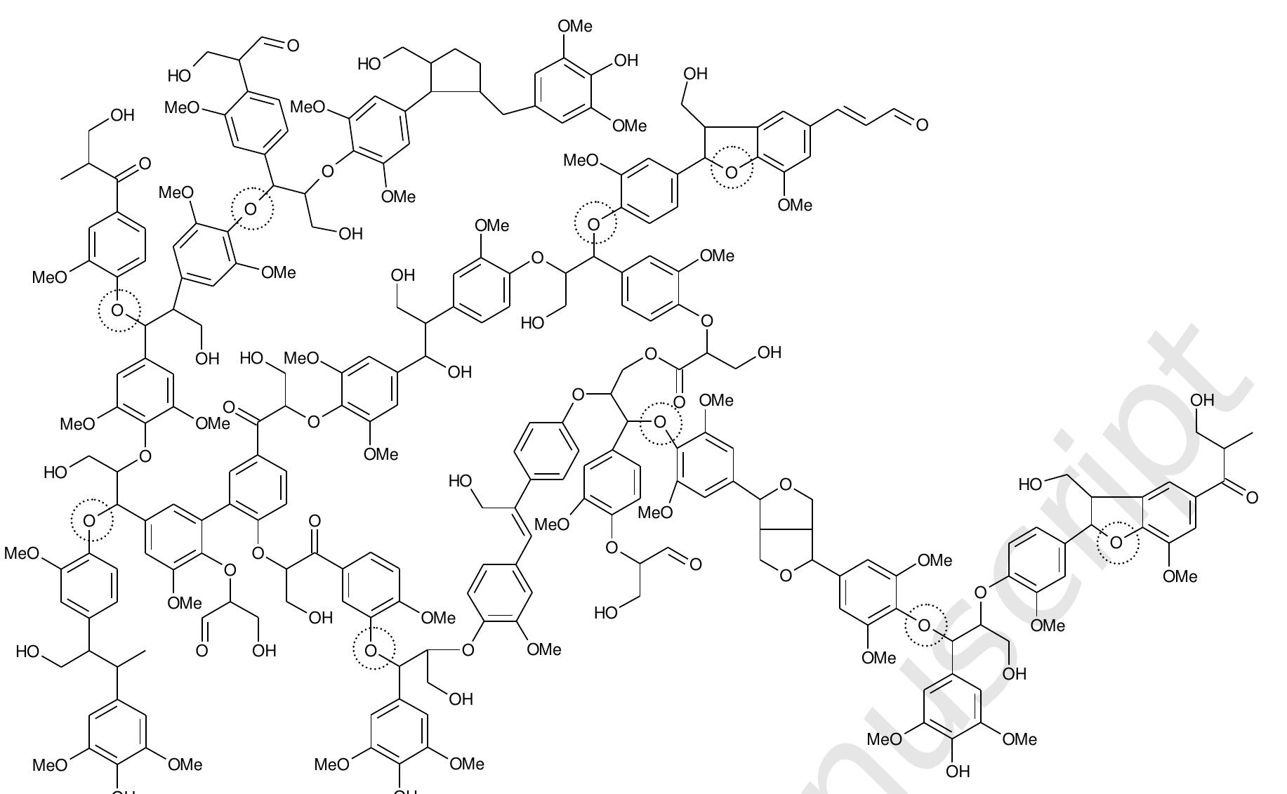The structure of lignin from beech as proposed by nimtz