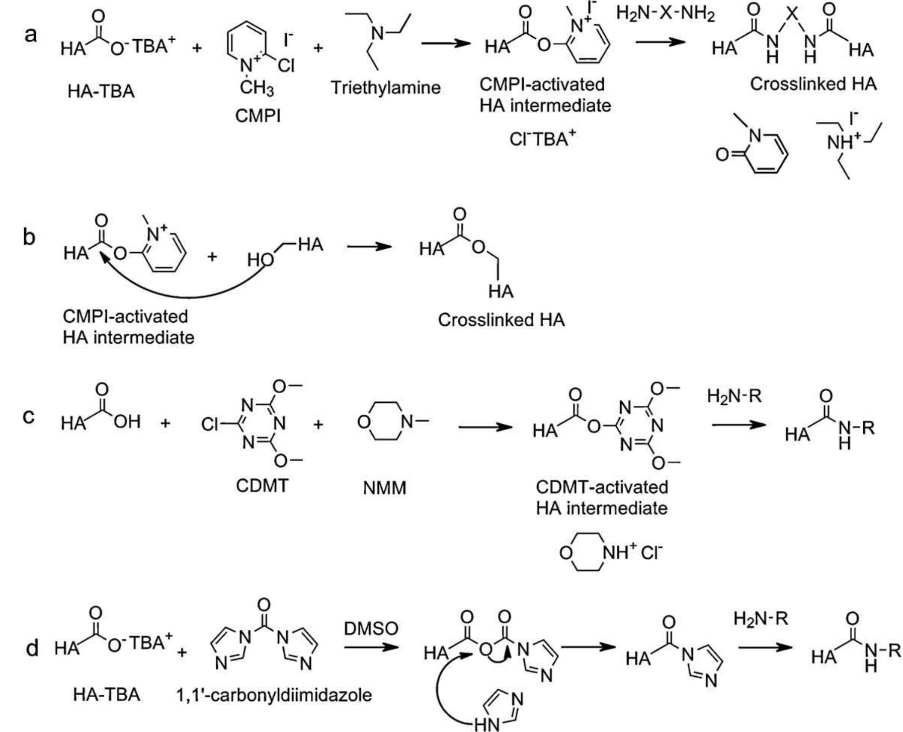 Crosslinking reaction of ha with amines using cmpi (magnani