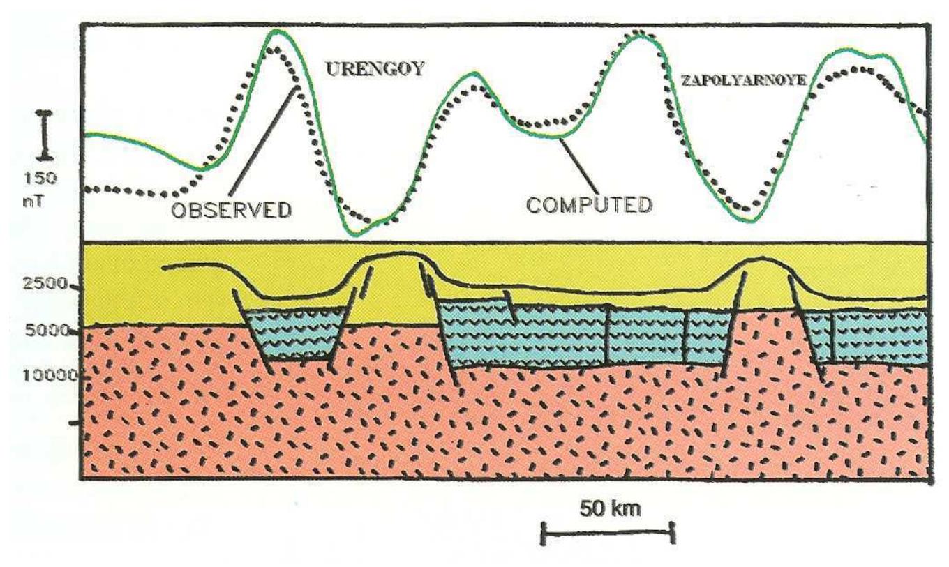 12 observed total intensity magnetic anomaly profile across