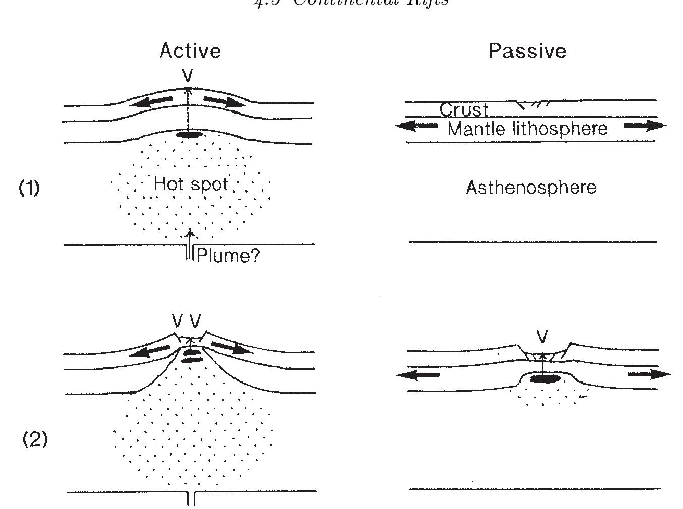 40 idealized diagrams of a cross-section of the crust,