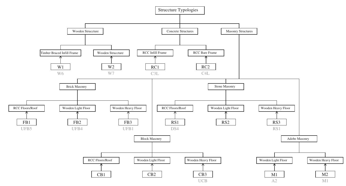 Diagram showing major typologies and classification of