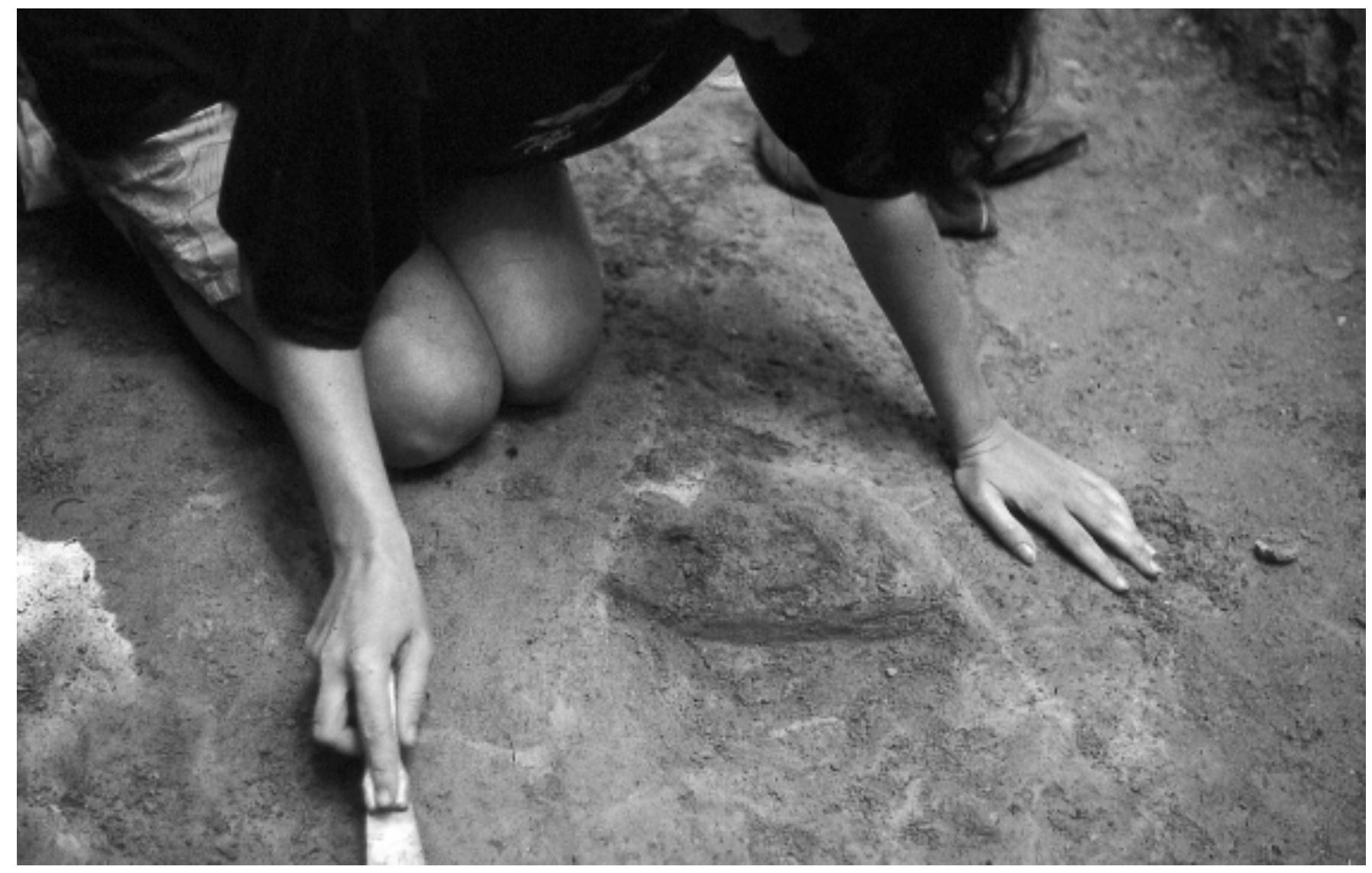 Figure 15 - Formation of the archaeological layers,