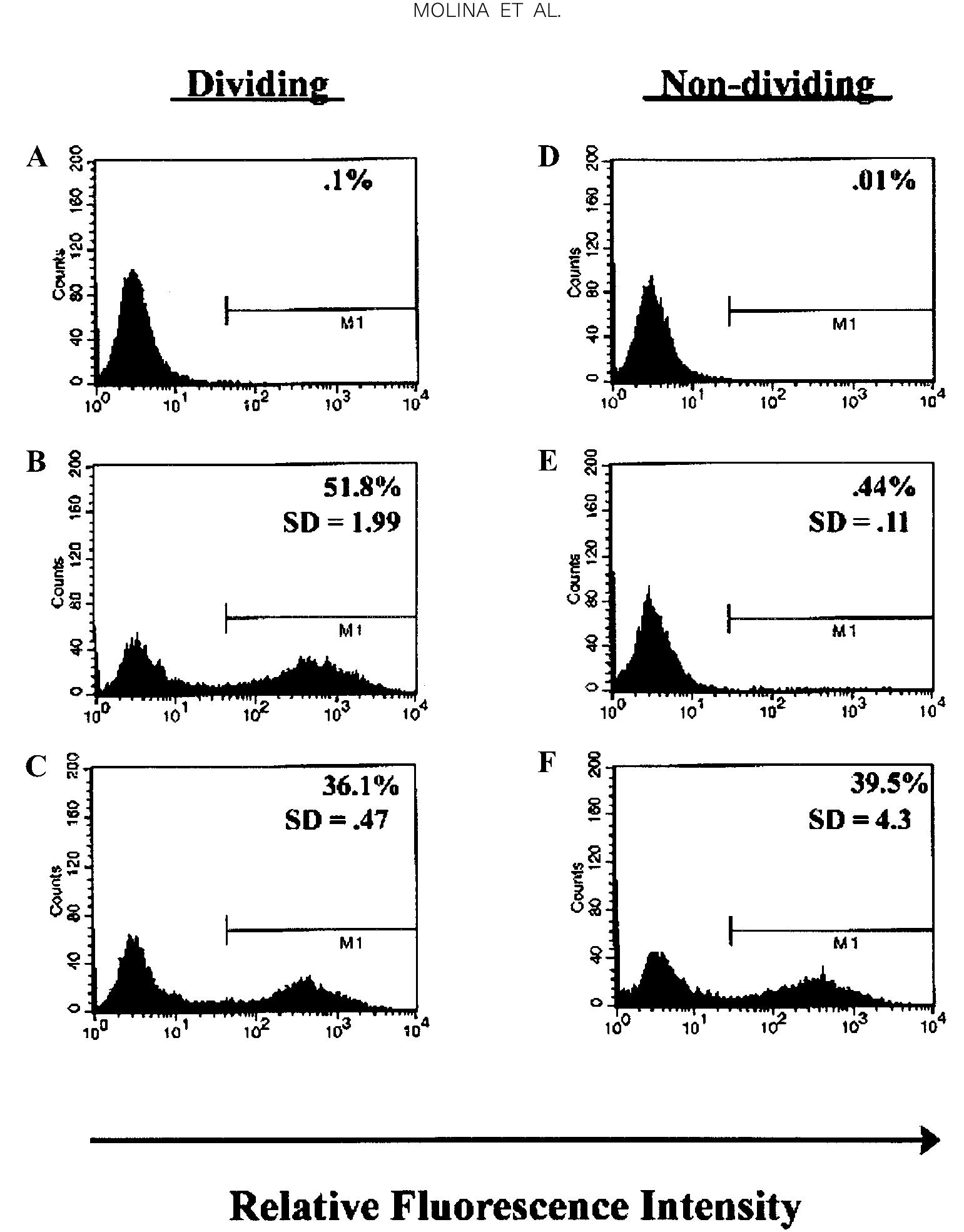 Flow cytometry analysis of biv vector-mediated egfp