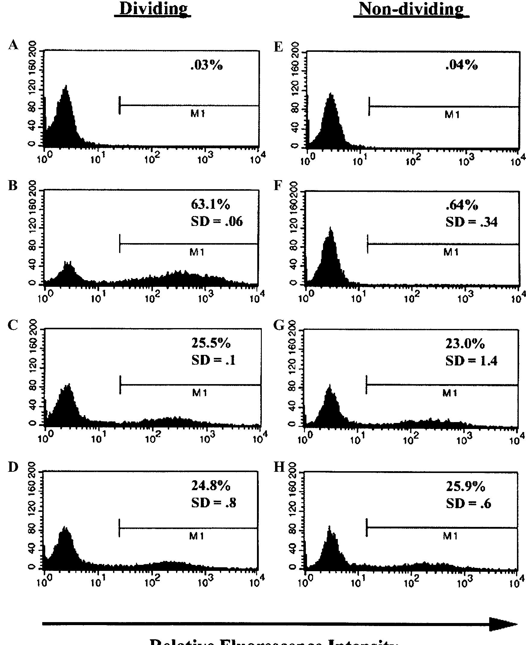 Flow cytometry analysis of biv vector-mediated egfp